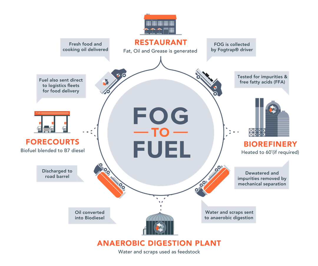 FogTrap - Dyno-Rod